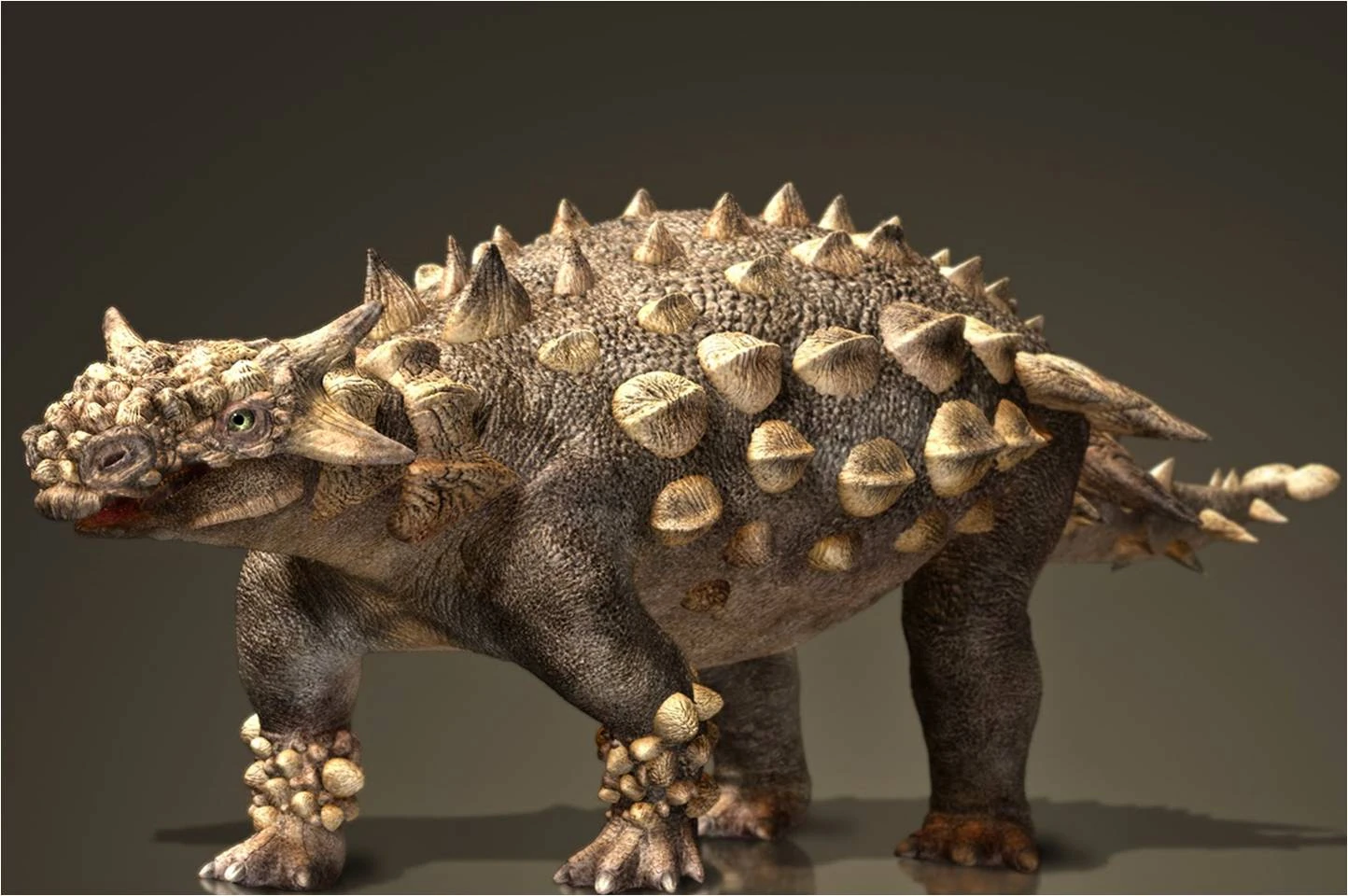 Categoría:Ankylosauria | Wiki Prehistórico | Fandom powered by Wikia