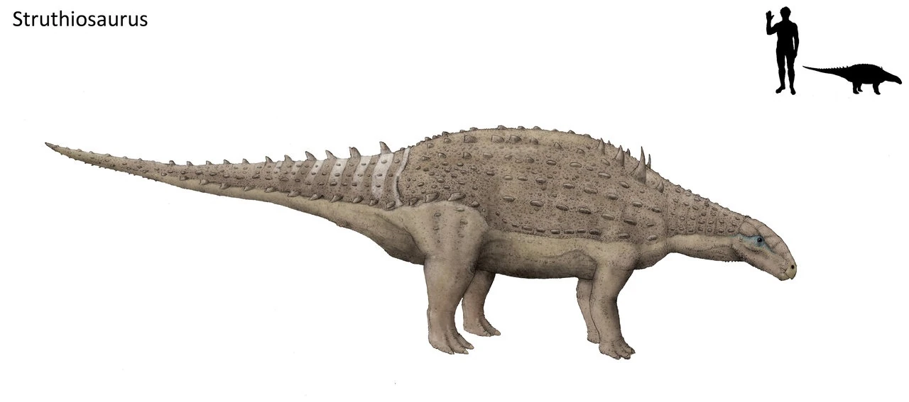 Struthiosaurus | Wiki Prehistórico | Fandom powered by Wikia