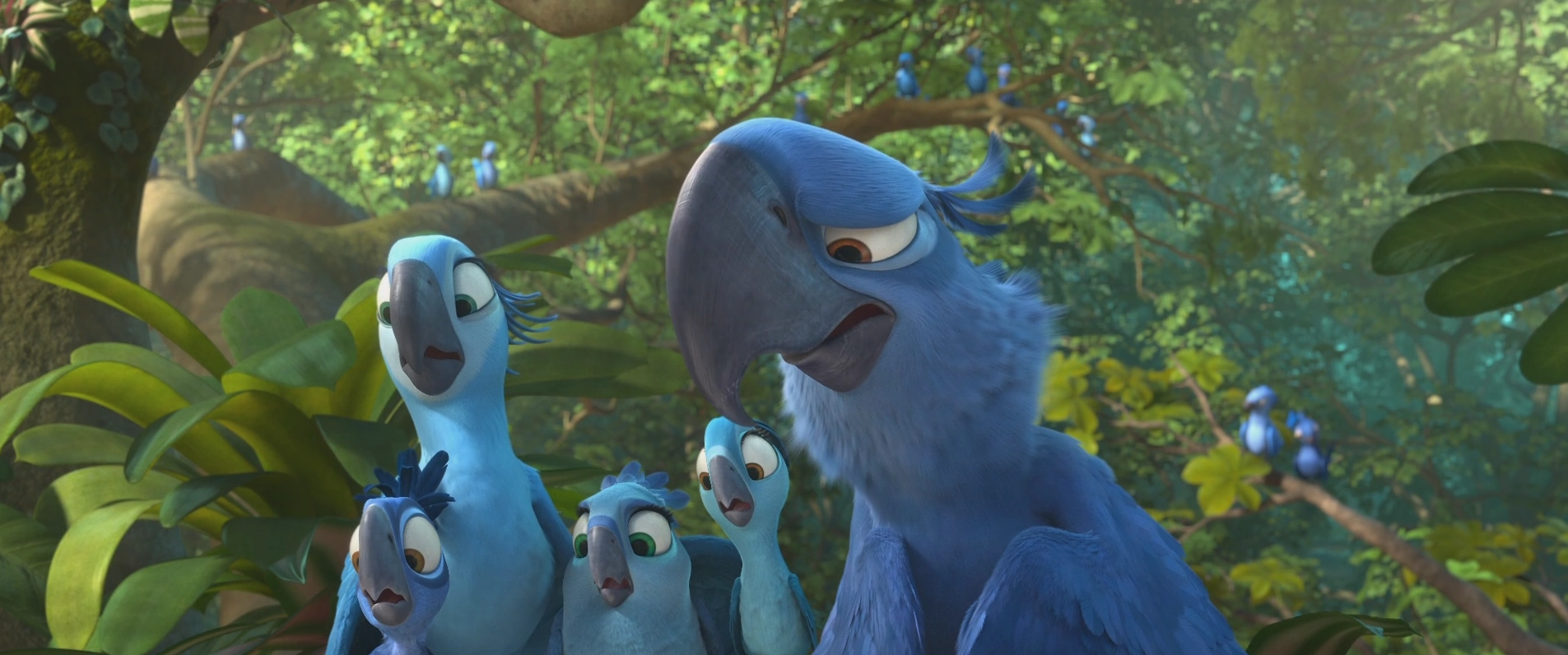 Image - Ah.Rio2.png | Rio Wiki | Fandom powered by Wikia