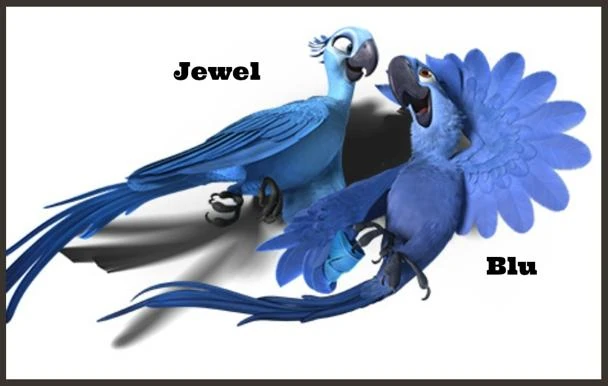 Image - Rio Blu and Jewel Art.jpg | Rio Wiki | Fandom powered by Wikia