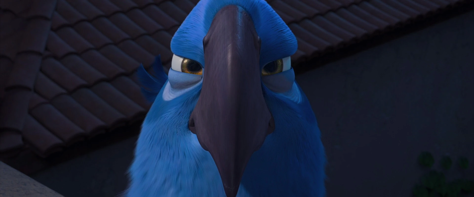 Image - Rio-disneyscreencaps com-8481.jpg | Rio Wiki | Fandom powered ...