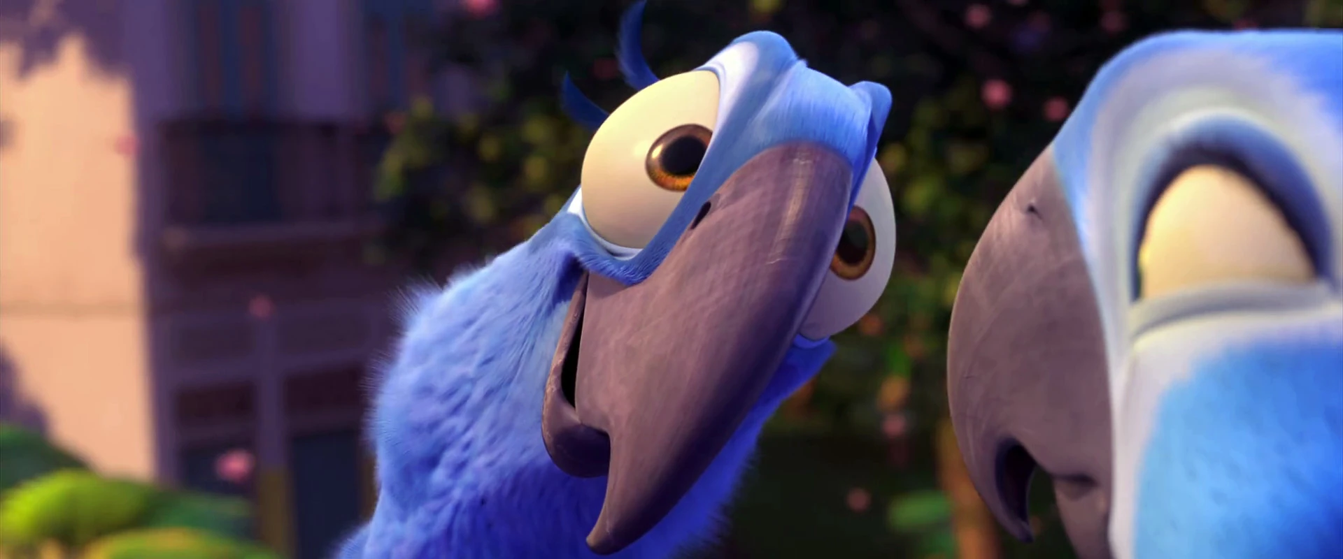 Image - Rio-disneyscreencaps com-7432.jpg | Rio Wiki | Fandom powered ...