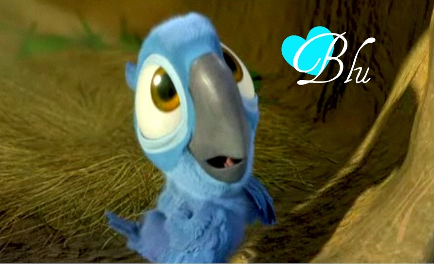 Image - Baby blu.png | Rio Wiki | FANDOM powered by Wikia