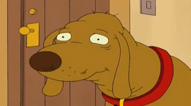 Image - Spike (All Grown Up).PNG | Rugrats Wiki | FANDOM powered by Wikia