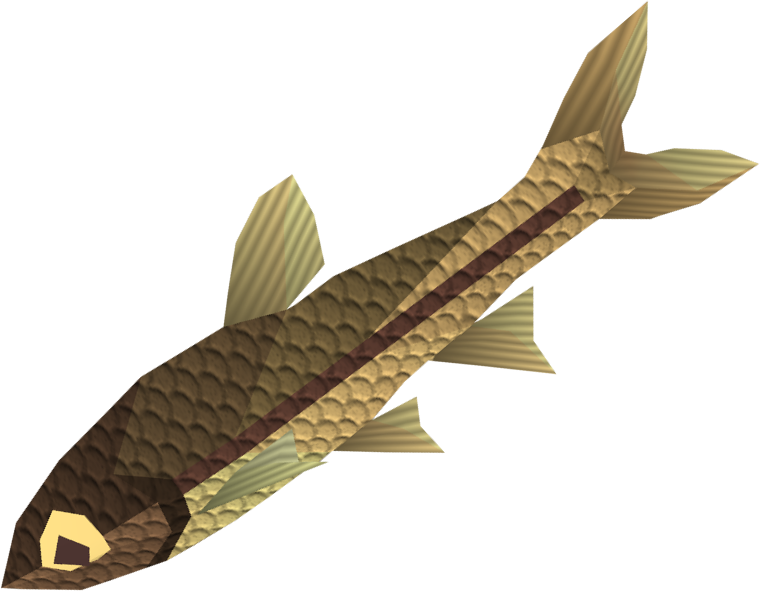 Minnow Runescape Wiki Fandom Powered By Wikia