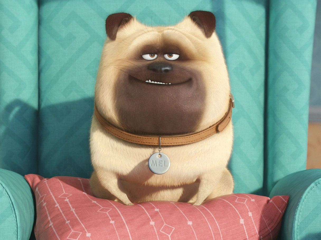 Mel | The Secret Life of Pets Wiki | Fandom powered by Wikia