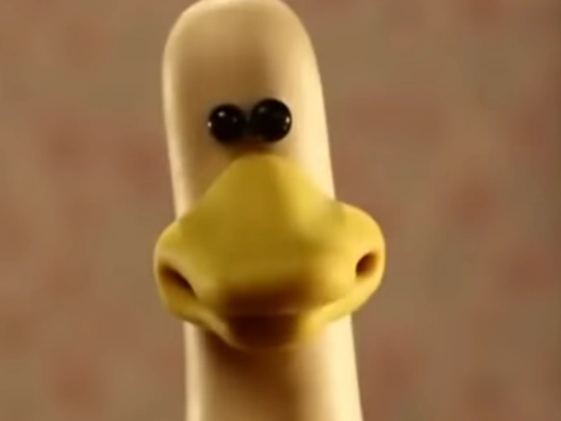 Duck | Shaun the Sheep Wiki | FANDOM powered by Wikia