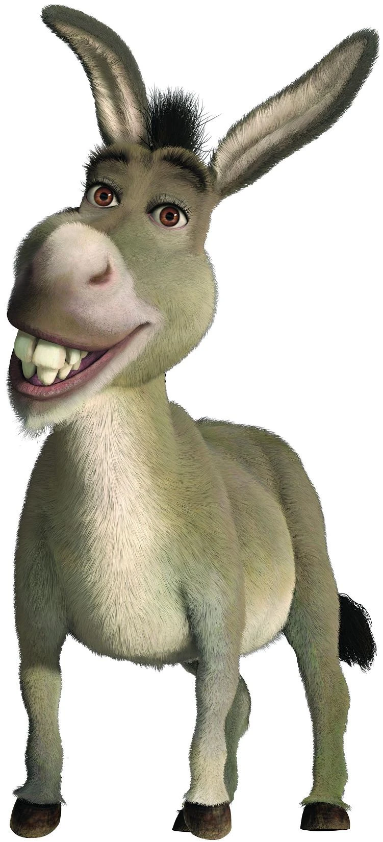 Asno | Shrek Wiki | Fandom powered by Wikia