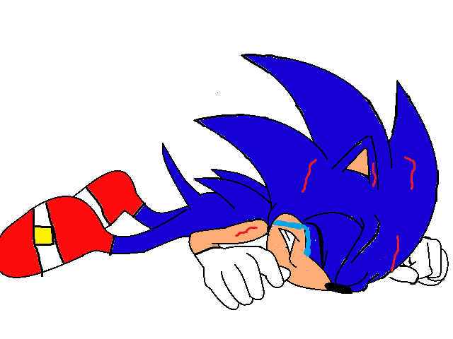 Image - Sonic gets hurt.png | Sonic the Hedgehog Fanon Wiki | FANDOM ...