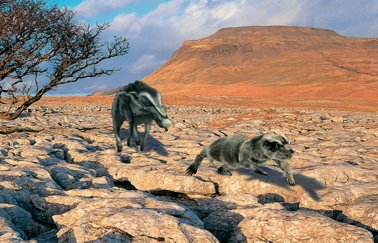 Category:Future is Wild 5 MYF | Speculative Evolution Wiki | FANDOM ...