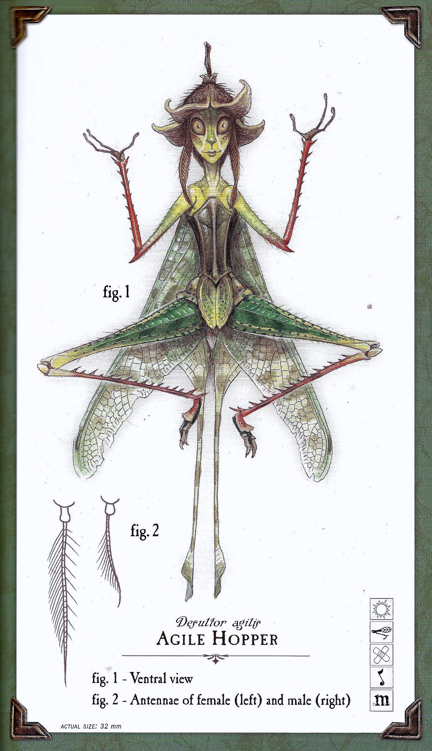 Image - 06.jpg | Spiderwick Chronicles Wiki | FANDOM powered by Wikia