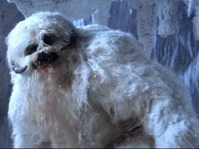 Wampa | Star Wars Canon Wiki | FANDOM powered by Wikia