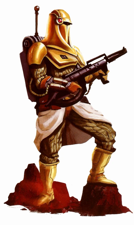 Sun Guard | Wookieepedia | Fandom powered by Wikia