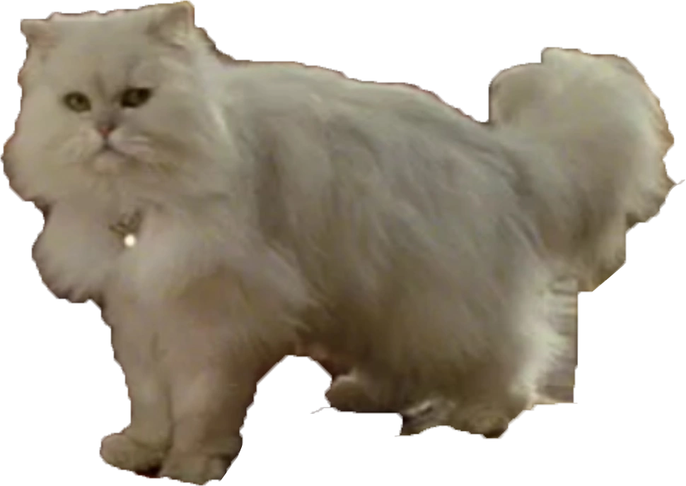 Snowbell | Stuart Little Wiki | FANDOM powered by Wikia
