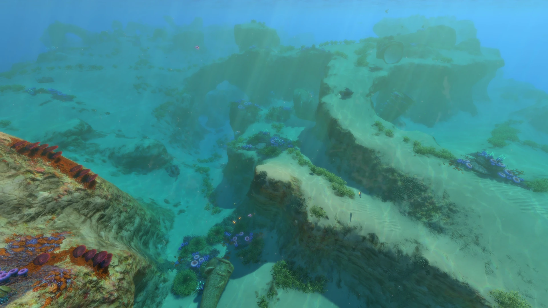 Безопасные отмели | Subnautica вики | FANDOM powered by Wikia