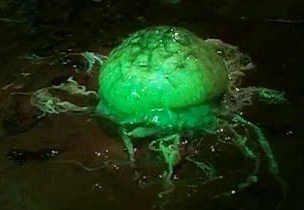 Mutant Dalek embryo | Tardis | FANDOM powered by Wikia