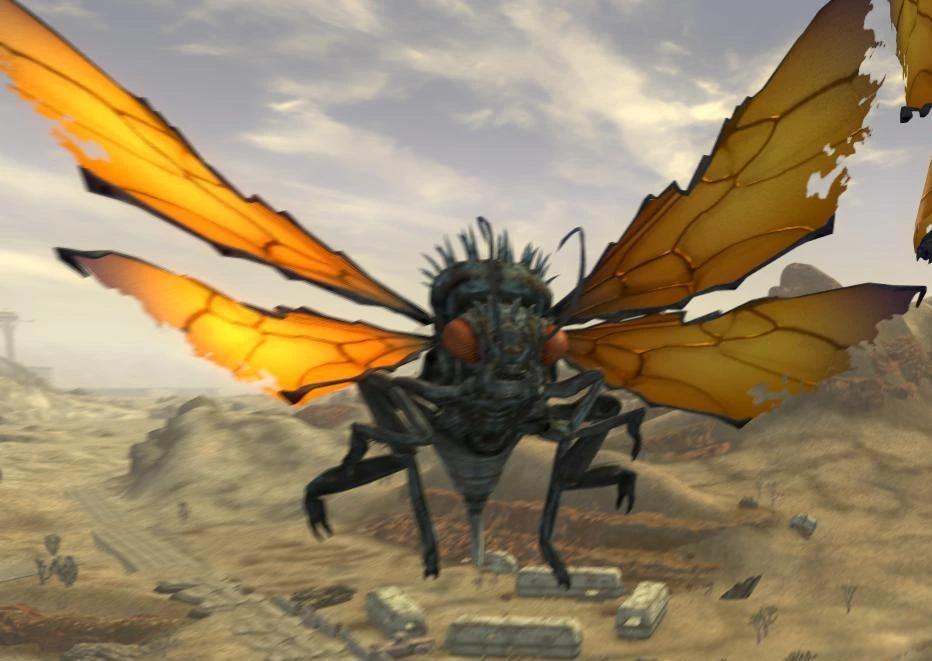 Tarantula Hawk Cazador