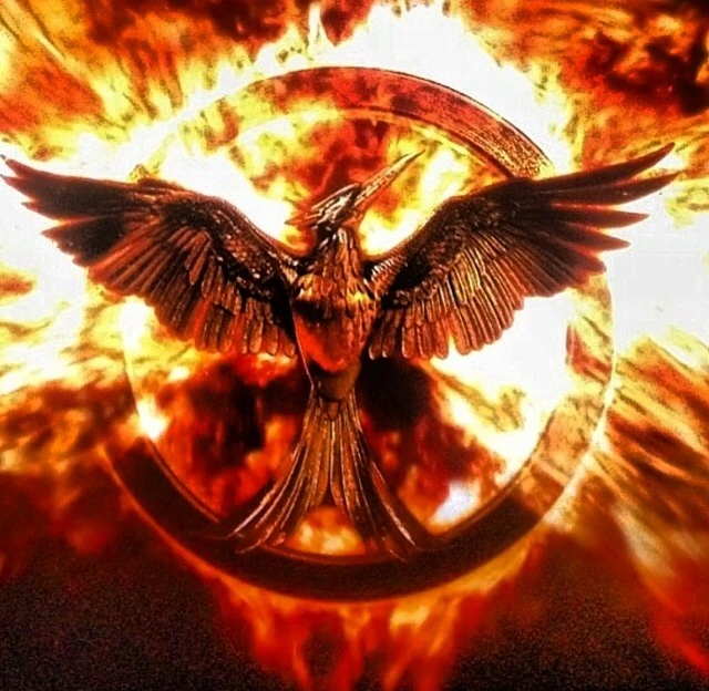 Image - Mockingjay.jpeg | The Hunger Games Wiki | FANDOM powered by Wikia