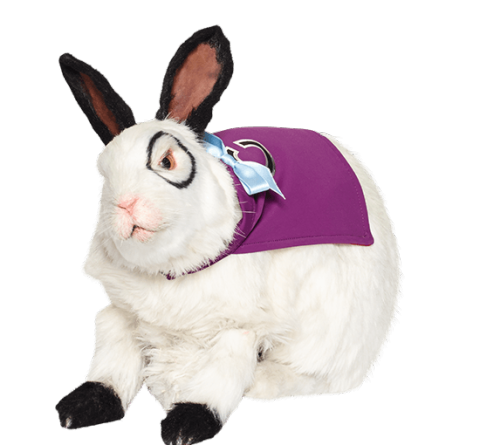 Dr. Colosso | The Thundermans Wiki | FANDOM powered by Wikia