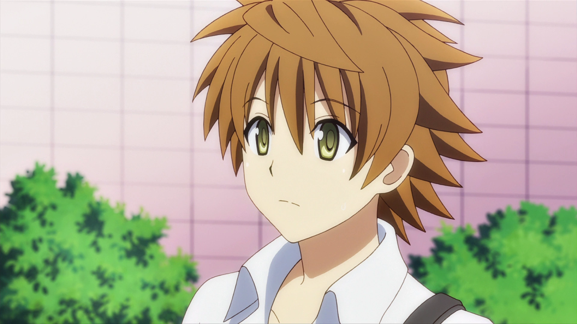 Rito Yūki | Wiki To Love-Ru | FANDOM powered by Wikia