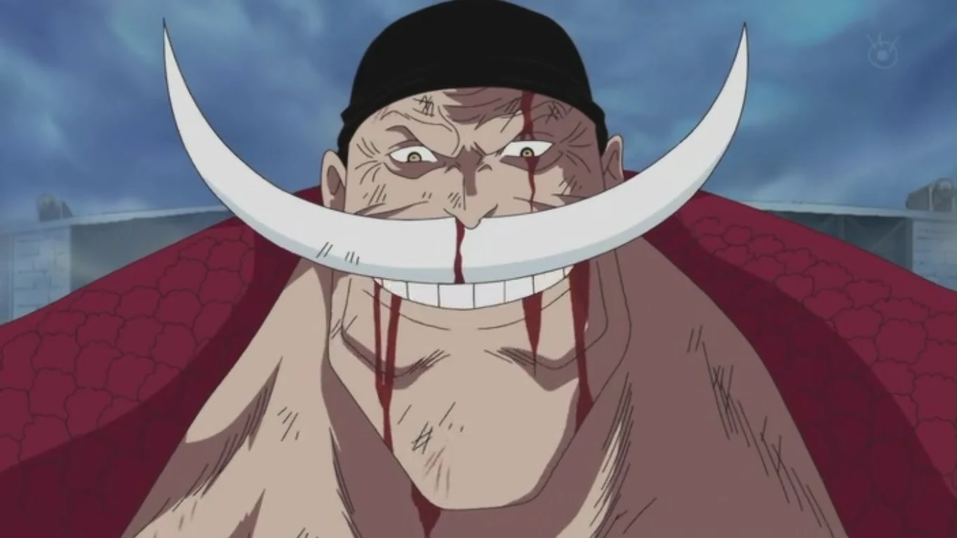 Image - Whitebeard.jpg | Toonami Wiki | Fandom powered by Wikia