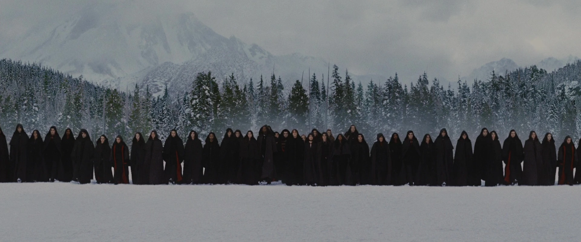 Image - Volturi guard 2.JPG | Twilight Saga Wiki | Fandom powered by Wikia