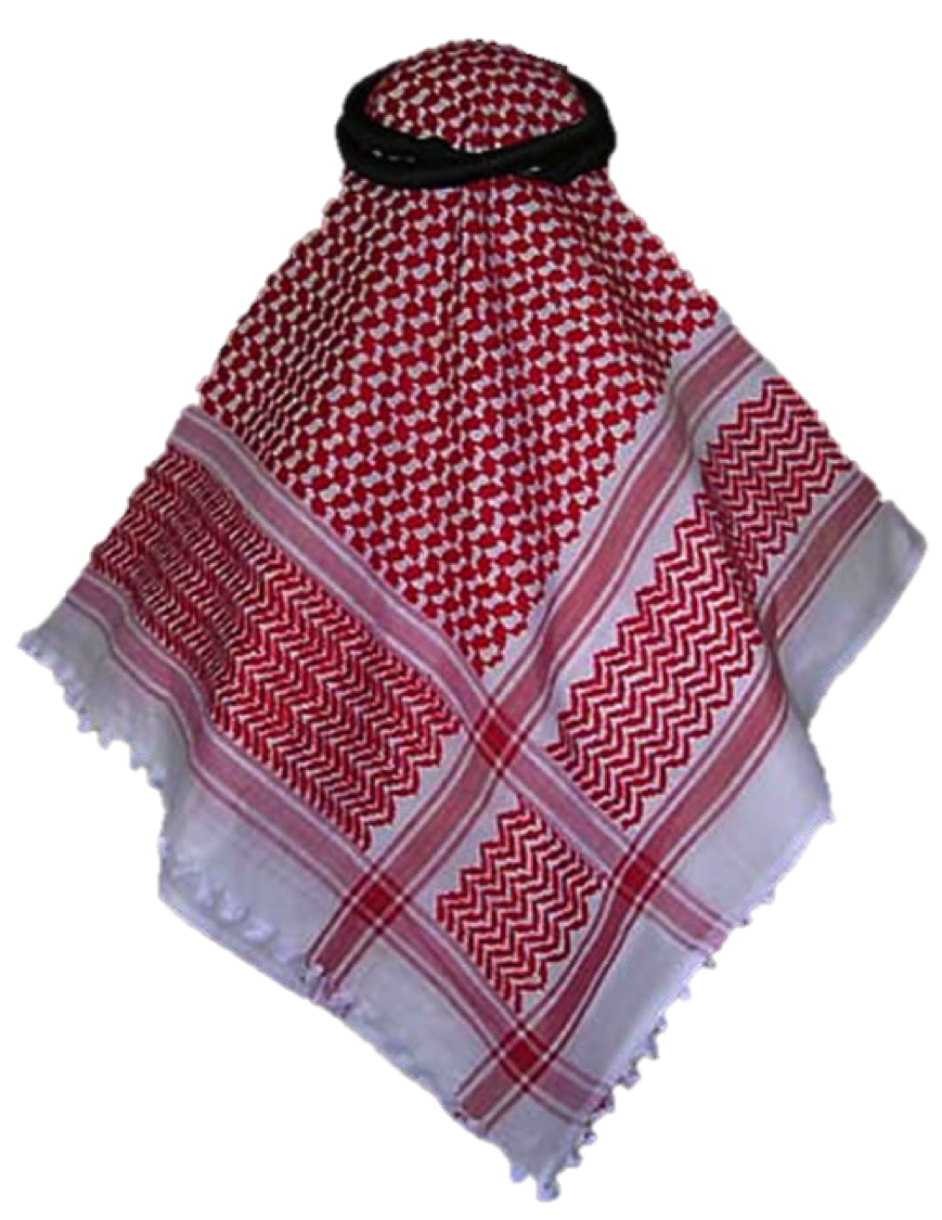 Image - Ghutra.png | Warehouse 13 Artifact Database Wiki | FANDOM ...