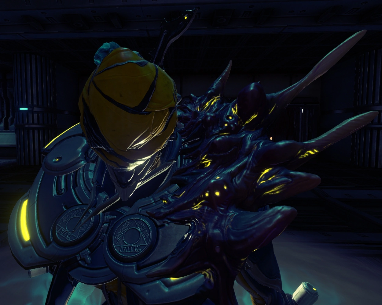 New infested Warframe? we are inmune or not? - Page 2 - General ...