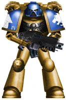 Celestial Lions | Warhammer 40k | FANDOM powered by Wikia