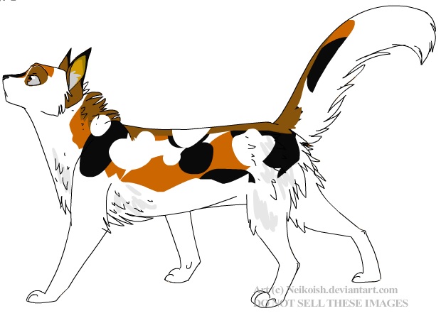 The Dark Forest- Mapleshade | Warriors Fanfiction | FANDOM powered by Wikia The Dark Forest- Mapleshade | Warriors Fanfiction | FANDOM powered by Wikia