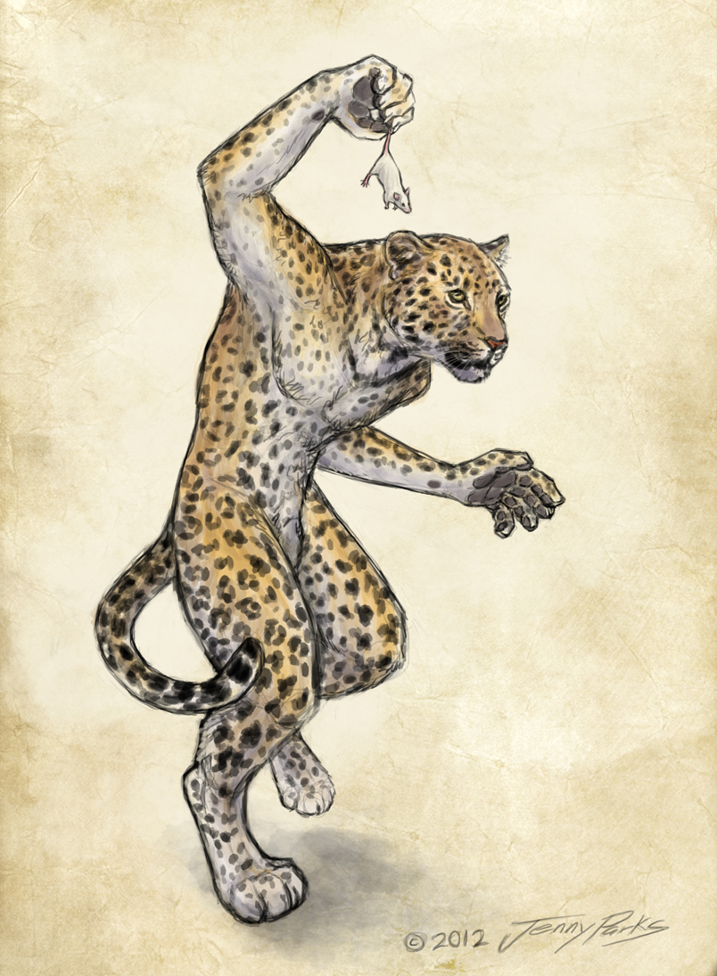 Image Url Wereleopard Warriors Of Myth Wiki Fandom Powered By