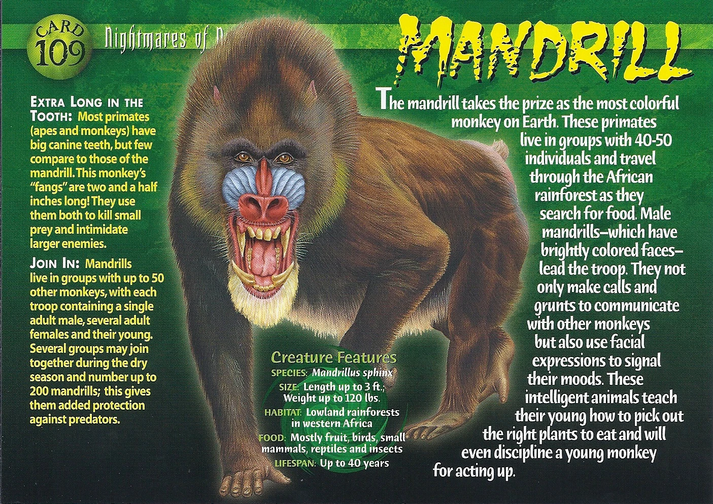 Mandrill | Wierd N'wild Creatures Wiki | Fandom powered by Wikia