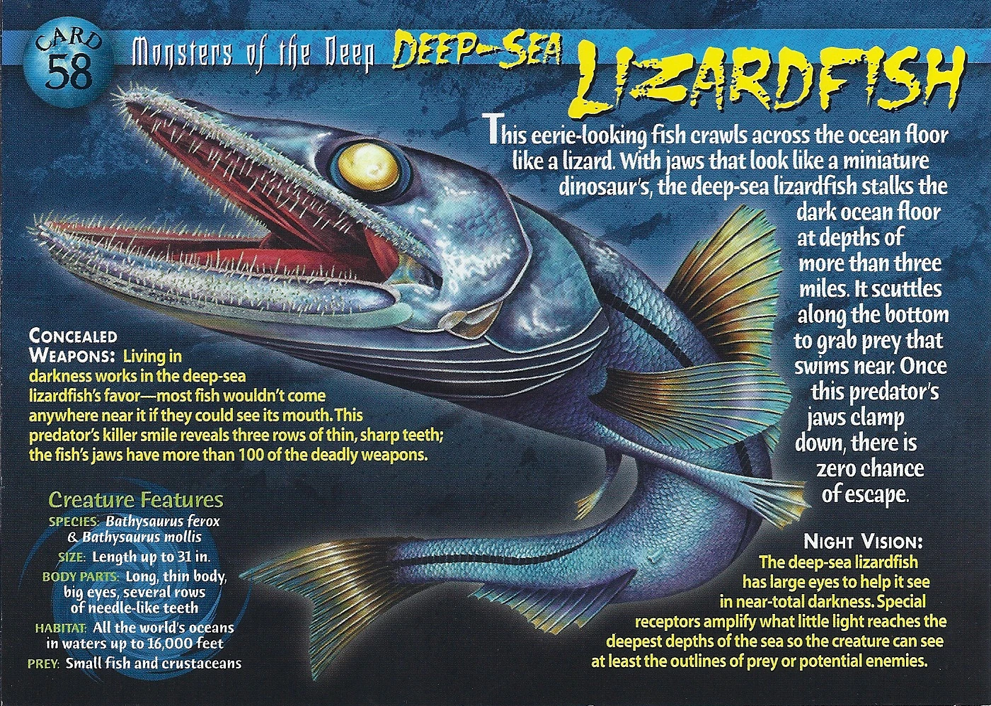 Deep Sea Lizardfish