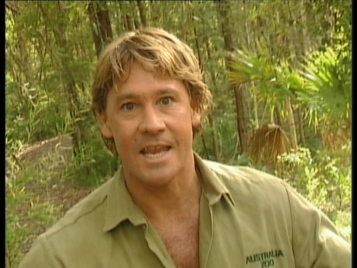 Image - SteveIrwininBonusClip3.jpg | Wigglepedia | Fandom powered by Wikia