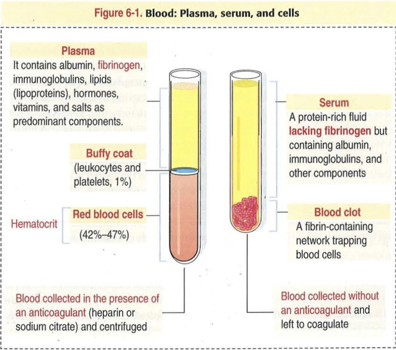 Image - Composition sang.jpg | Wikige Wiki | Fandom powered by Wikia