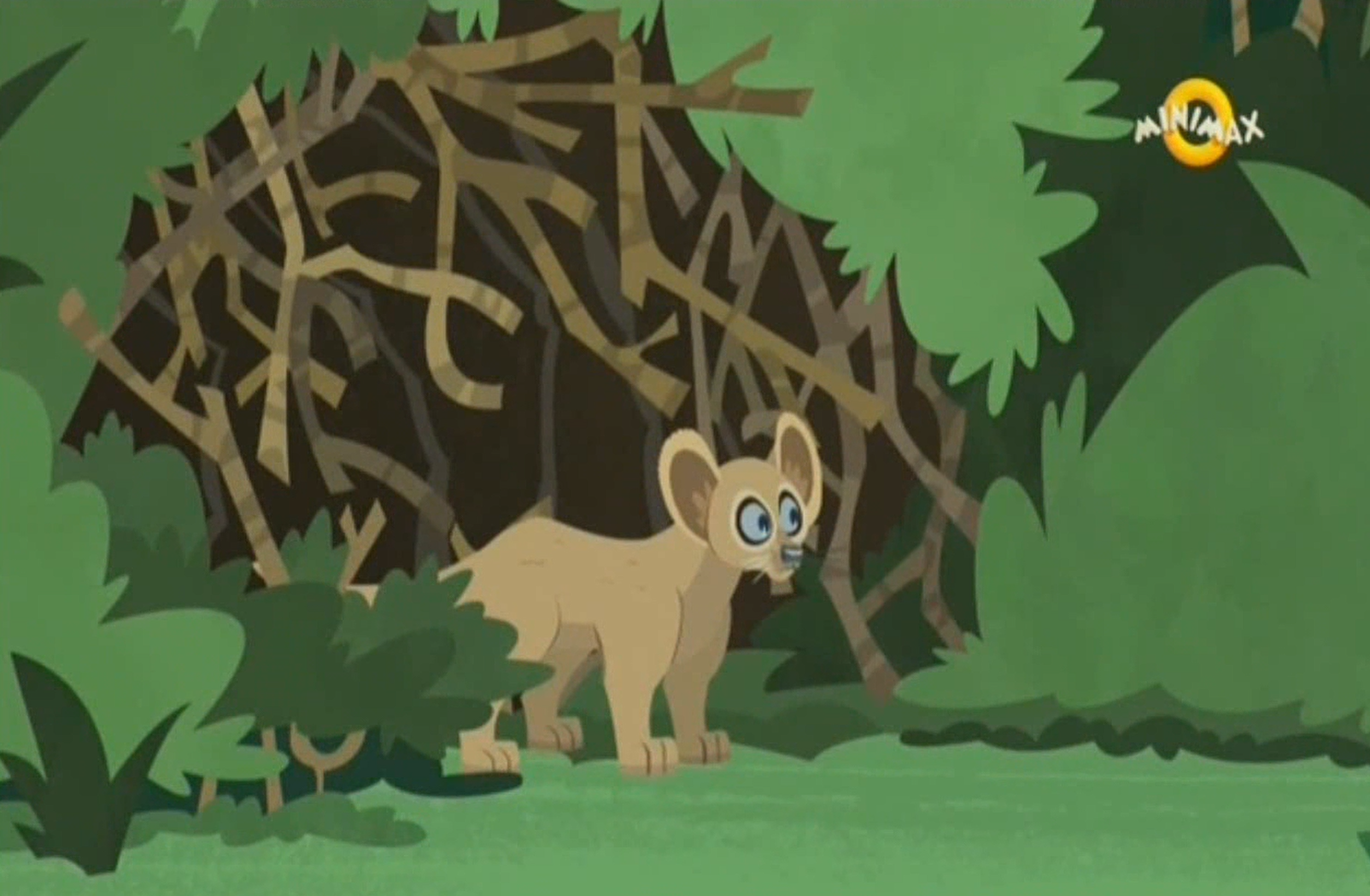 Image - Fossa Cub.png | Wild Kratts Wiki | Fandom powered by Wikia