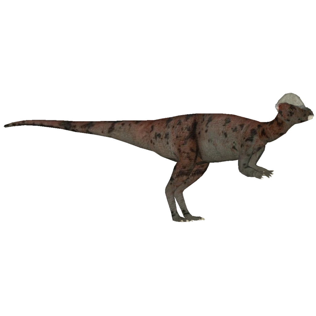 Image - Sphaerotholus (Andrew12 & Luca9108).png | ZT2 Download Library ...